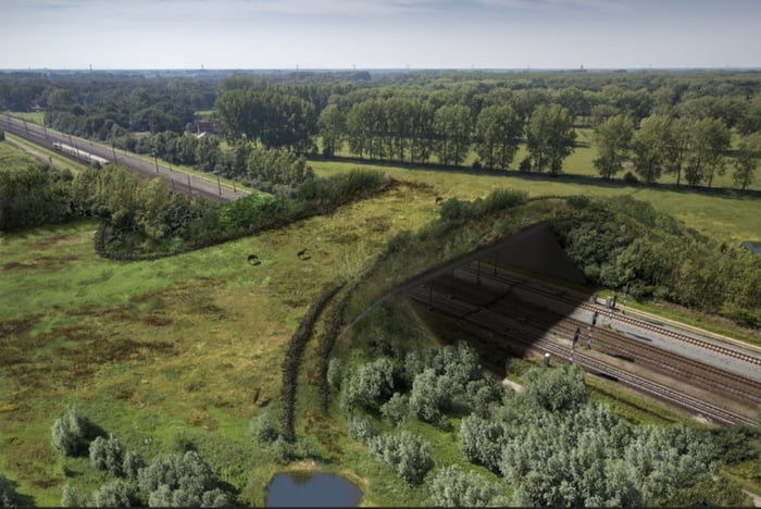 This is an ecoduct in the netherlands, it is a bridge for animals to ...
