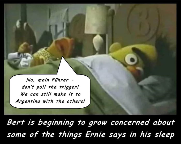 Mein Führer! Nein! Nein! - 9GAG