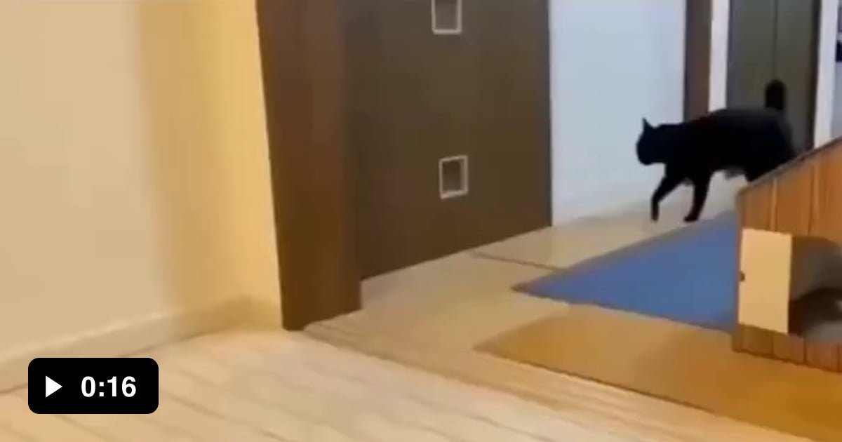 Uhhh...Hello Human !?! - 9GAG