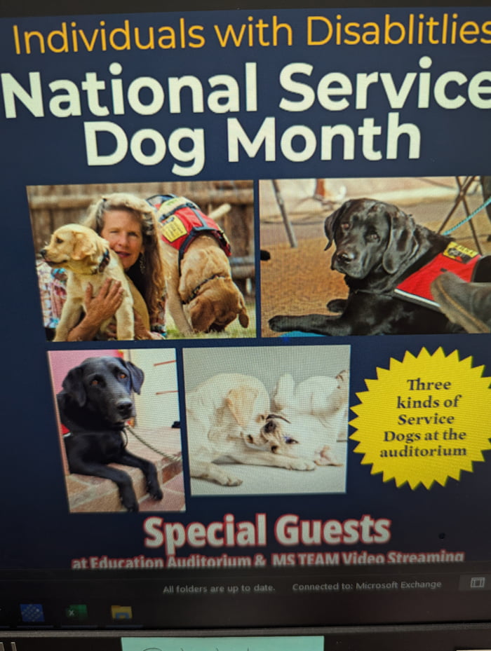 Happy National Service Dog Month - 9GAG