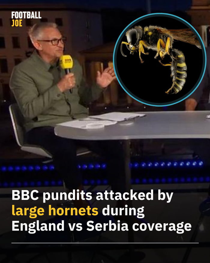 Beez by the bees - 9GAG