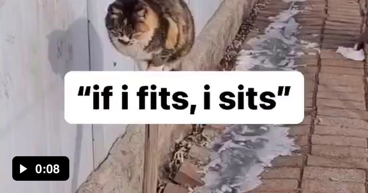 Best spot ever - 9GAG