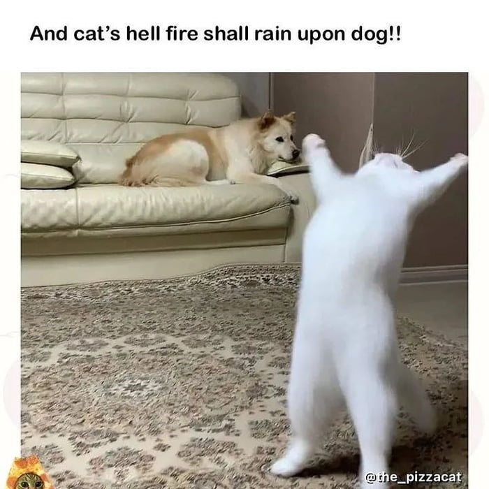 Overly dramatic - 9GAG