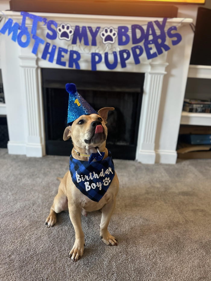 Big Rig Butters First Birthday - 9GAG