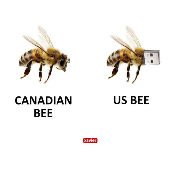It’s a Bee affair. - 9GAG
