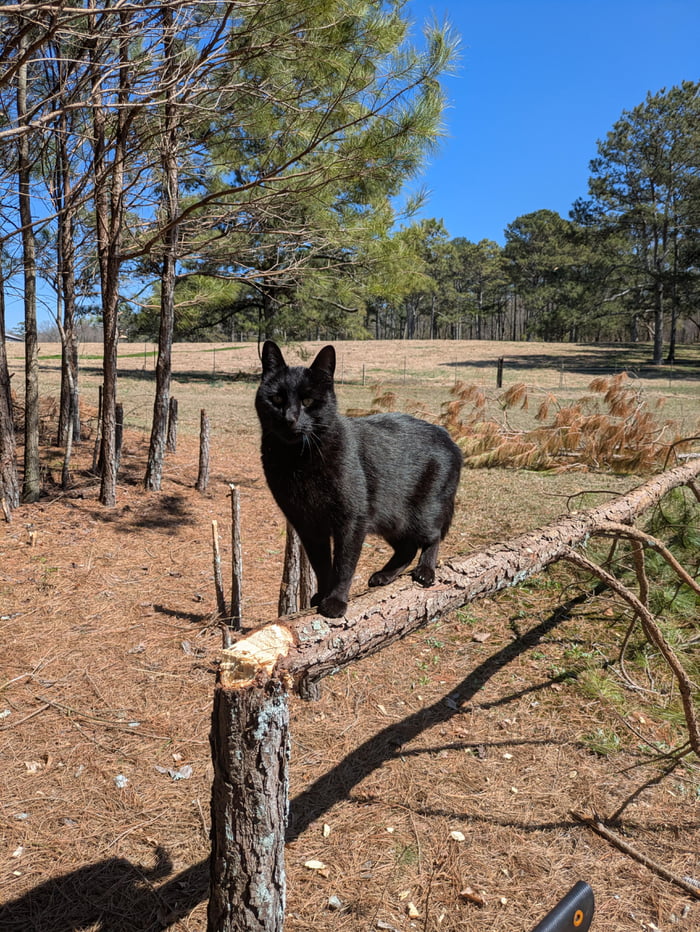 Supervisor Inspection - 9GAG