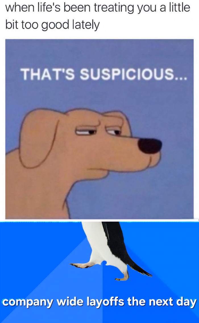 When real life becomes a meme, you can only laugh. - 9GAG