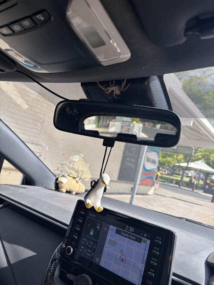 TRIGGER WARNING: arachnophobia - 9GAG