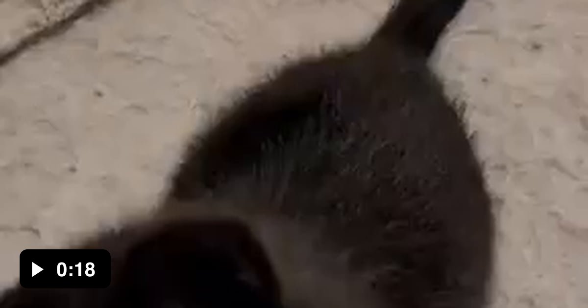 Sometimes the void screams back - 9GAG