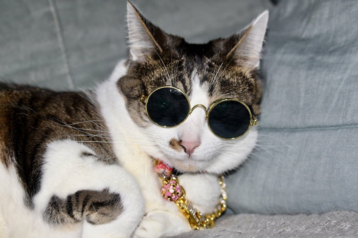 Her rapper name? P KITTY - 9GAG