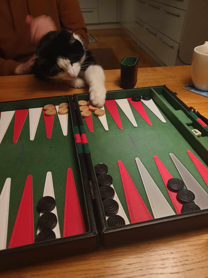 Professional Backgammon player - 9GAG