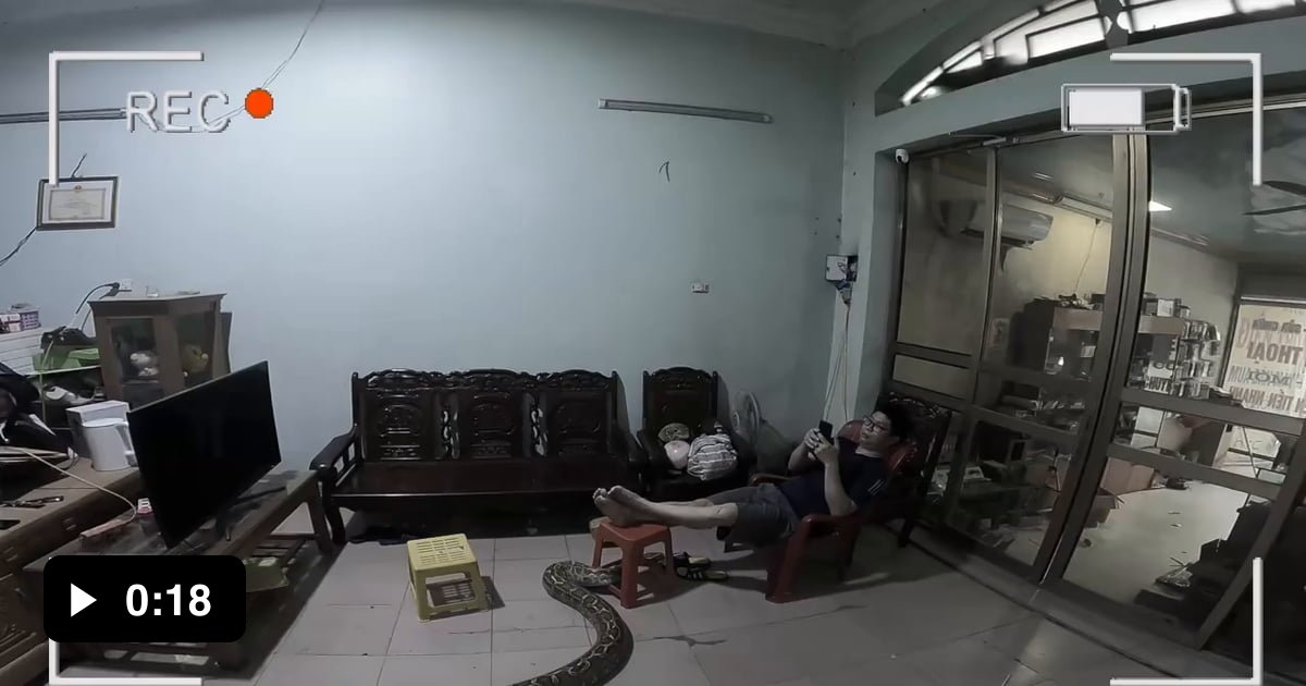 Python in the living room - 9GAG