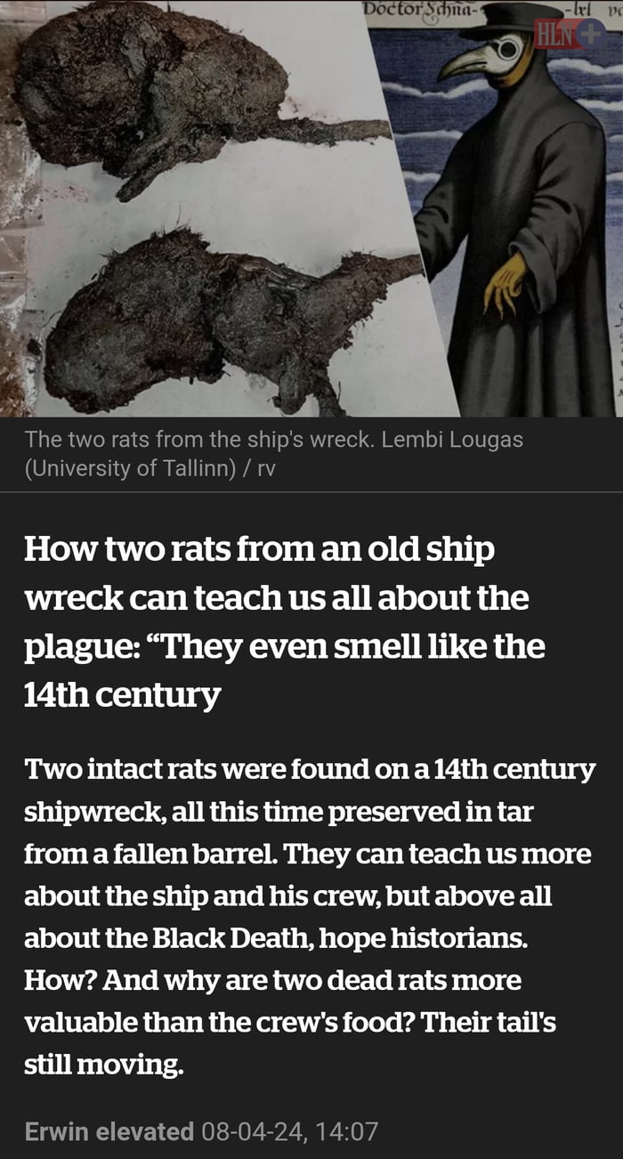 They found 2 rats in tar on a ship from the 14th century - 9GAG