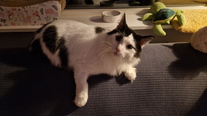 Didn't do nothing - 9GAG