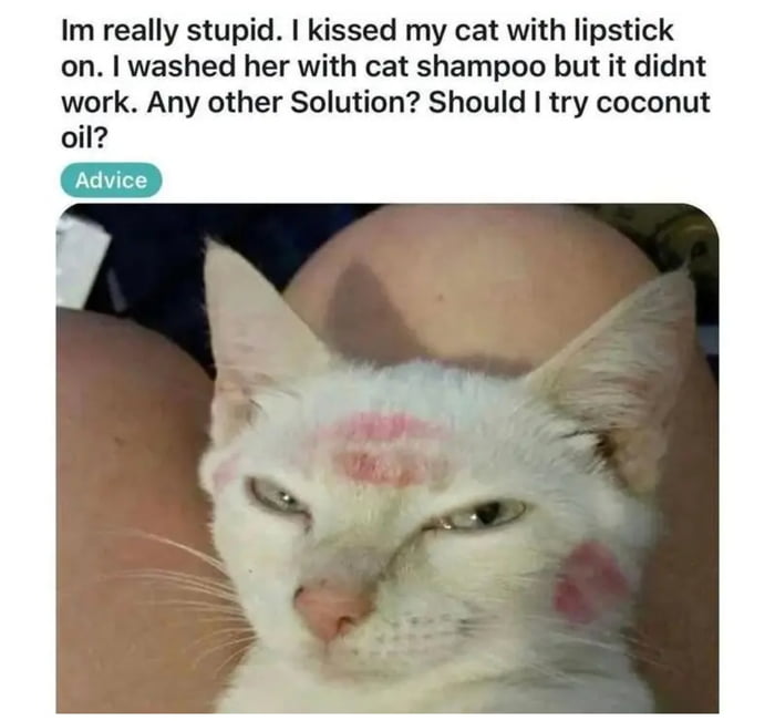 I don't think the cat is complaining - 9GAG