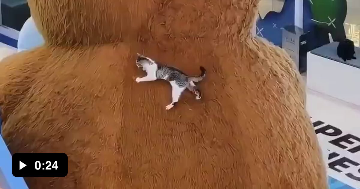 When you find the Perfect Spot... - 9GAG