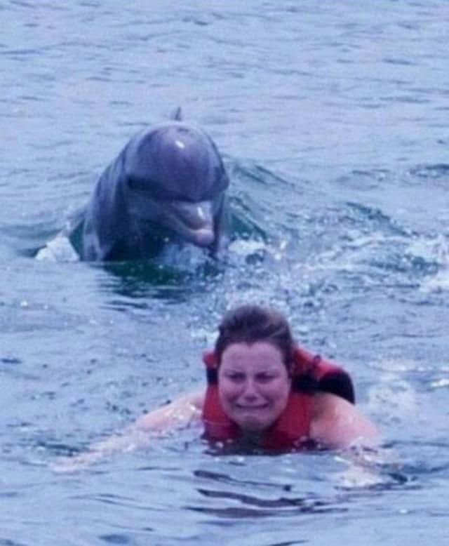 Important image - 9GAG