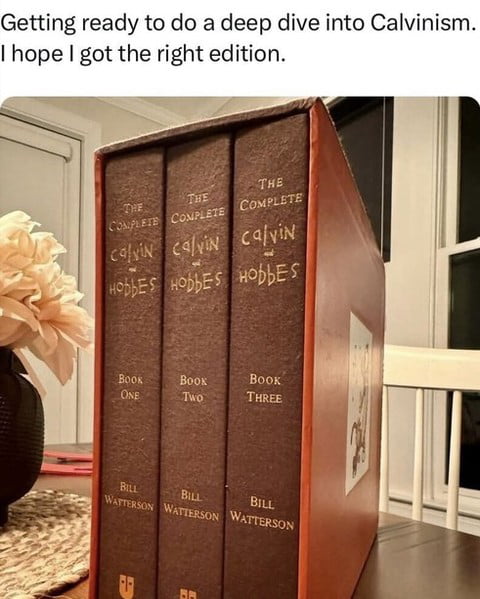 Starting my deep dive into Calvinism. - 9GAG