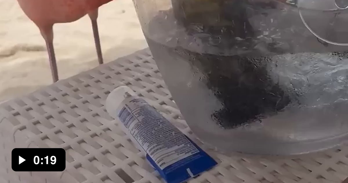 Flamingo finds the best way to cool off - 9GAG