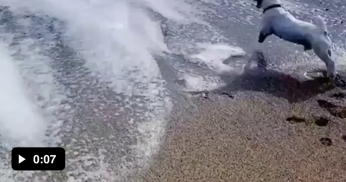 Day at the beach - 9GAG