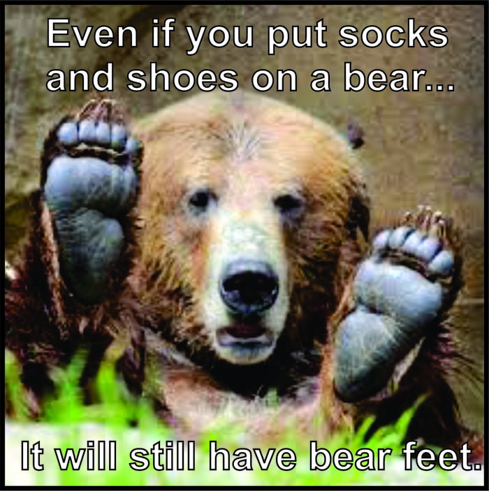 The Bear Necessities. - 9GAG