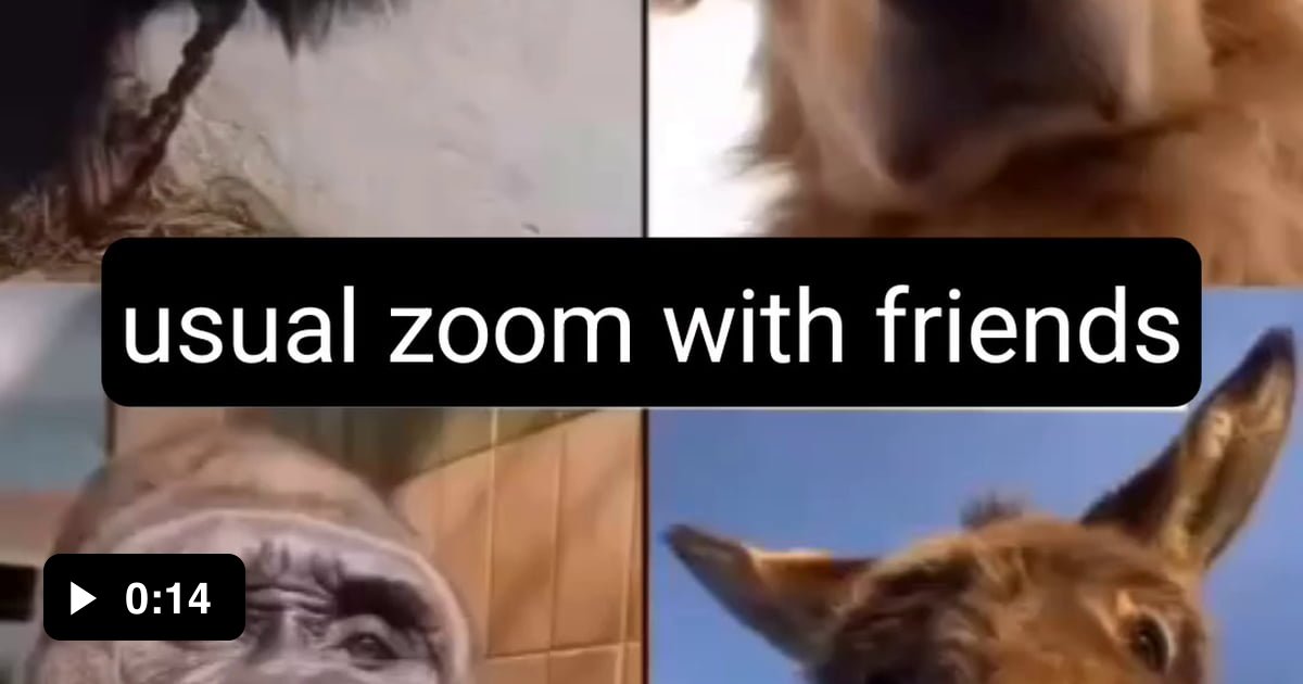 Zoom with friends - 9GAG