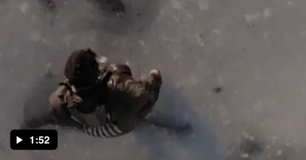 Artist "David Popa" creates amazing portraits on ice floats using only ...