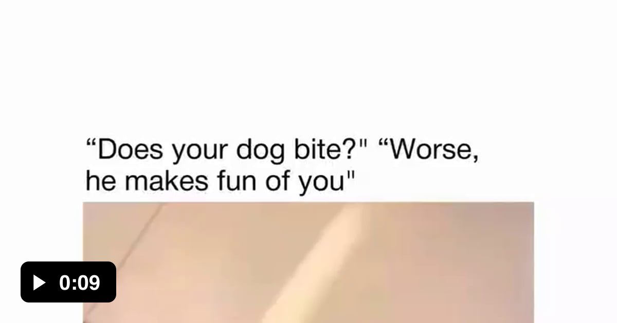 Does your dog bite? - 9GAG