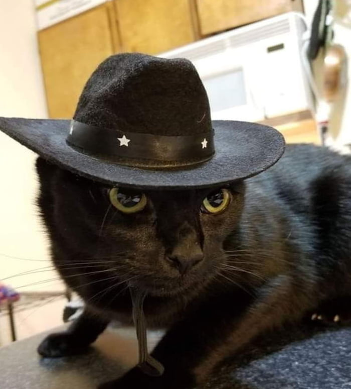 Do you like Jackie's hat? - 9GAG