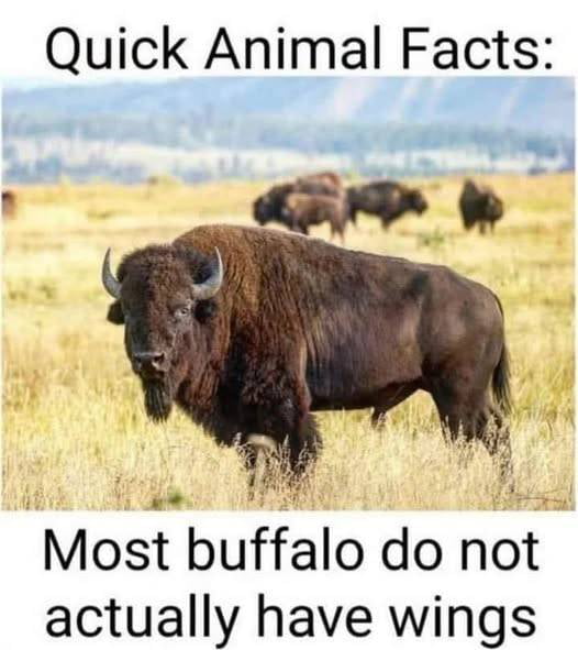 For Sure 9gag