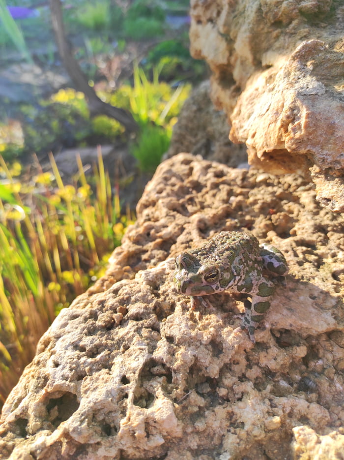 Find the dude - 9GAG