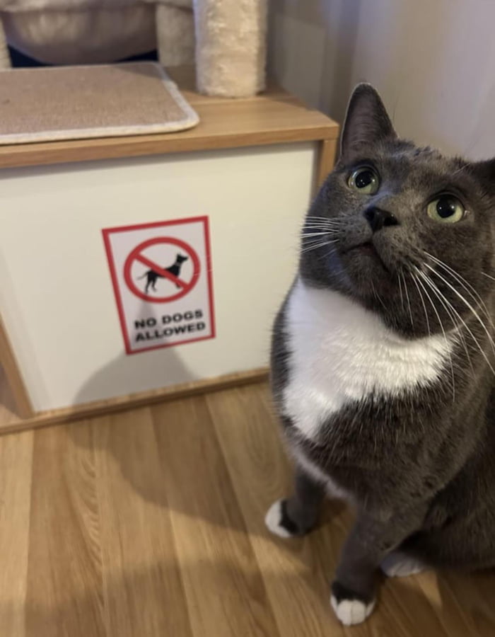 A very intimidating bouncer. She’s a security guard like no other. Show ...