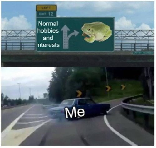 Is It Wednesday 9gag