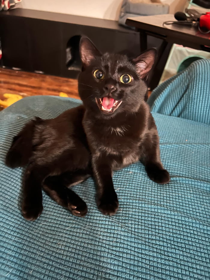 Just a happy little void 🖤 - 9GAG