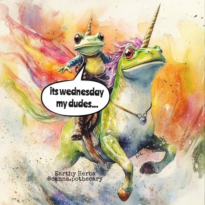 The meme are not coming back, they never left... - 9GAG