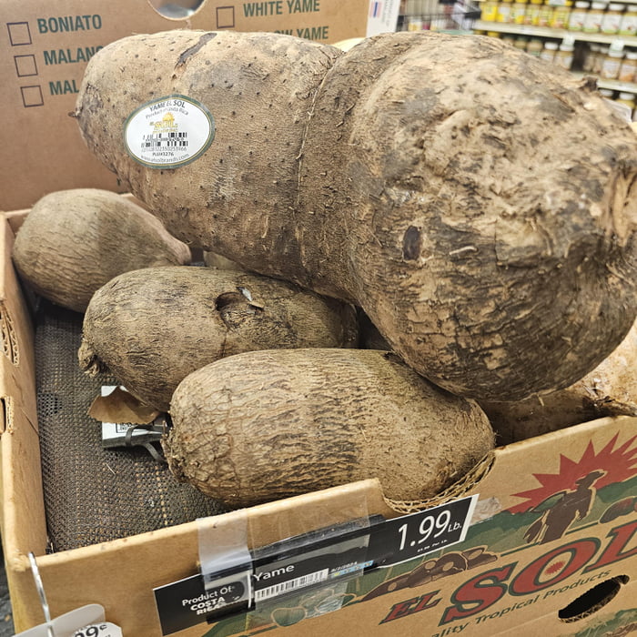 Of a Costa Rican yame - 9GAG