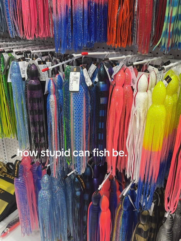 The ultimate test of fish intelligence. - 9GAG