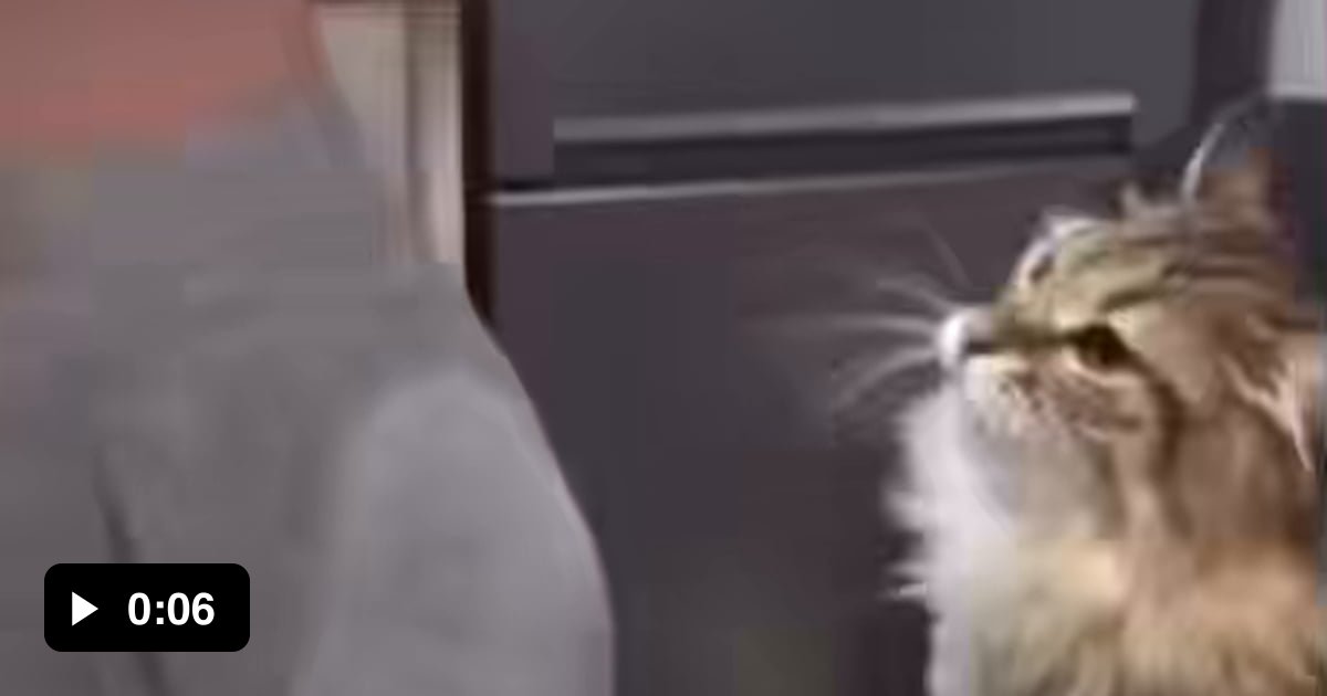 Calories don’t count on the weekend - 9GAG