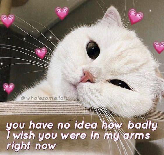 Cutie 9gag 1915