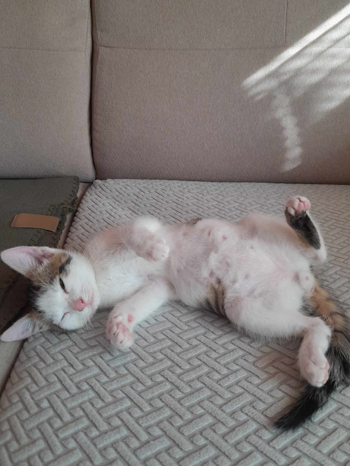 Say hi to Jackie - 9GAG