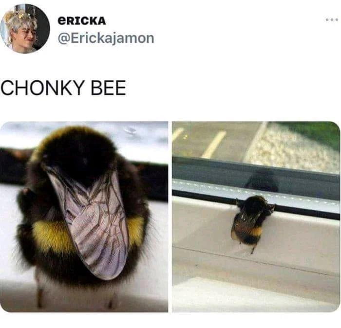 Of a bee - 9GAG