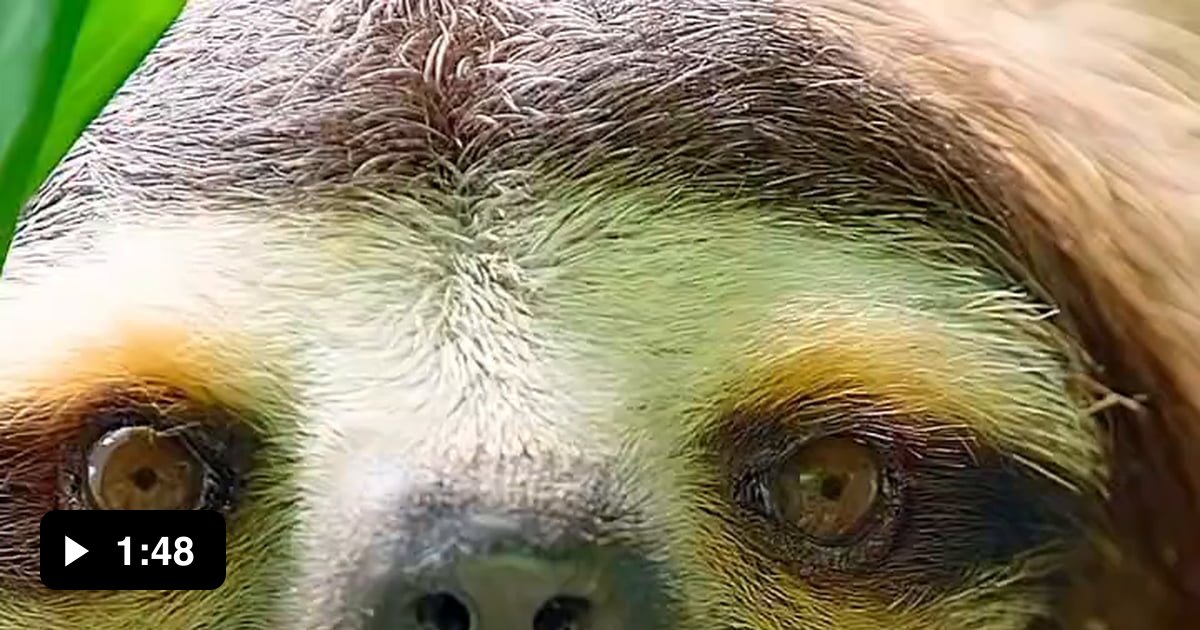 Average 9gagger - 9GAG