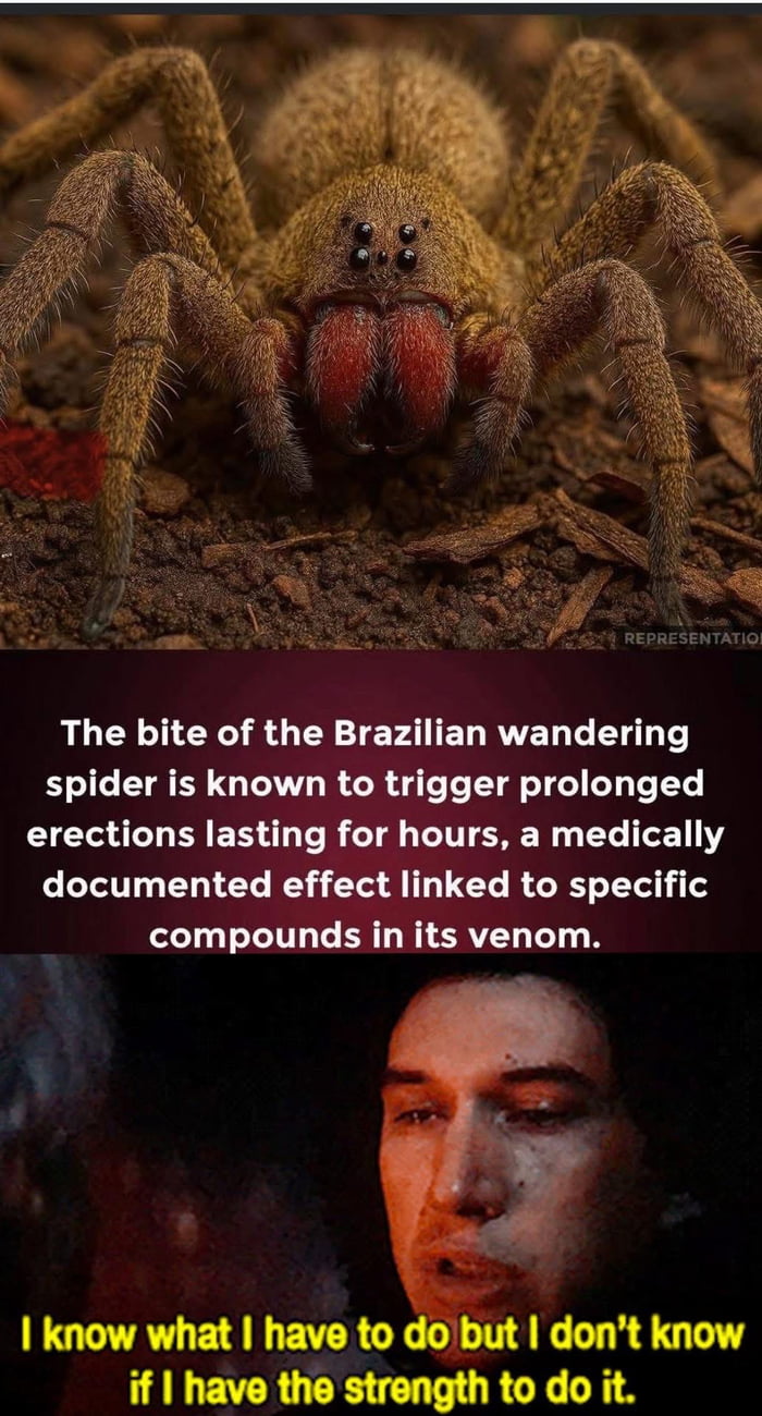 The power of the dark side! - 9GAG