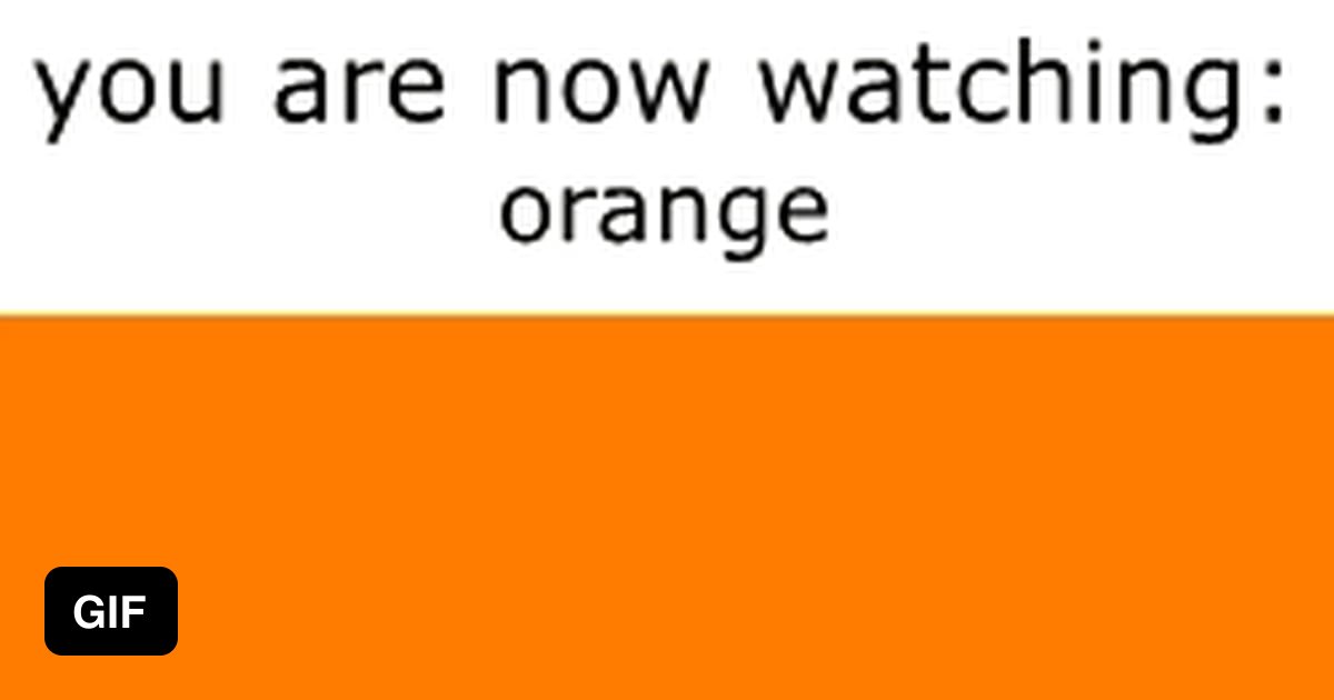 What do you want to watch today, madam and sir? - 9GAG