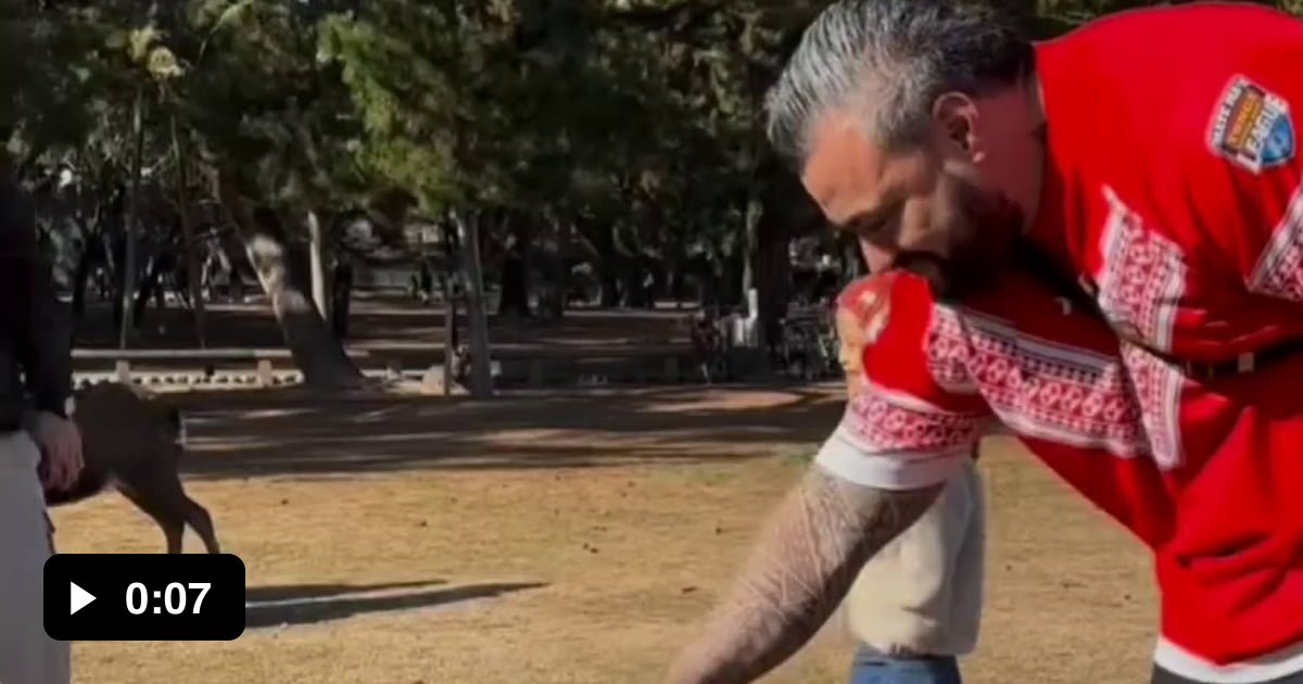 Take that little shit - 9GAG