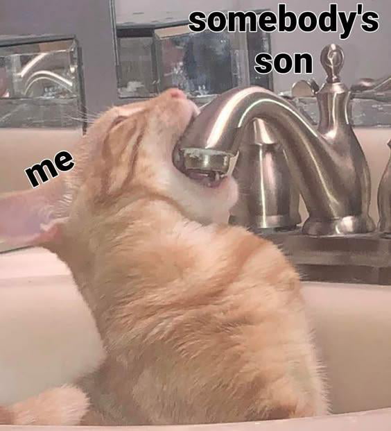 Sounds like a plan - 9GAG