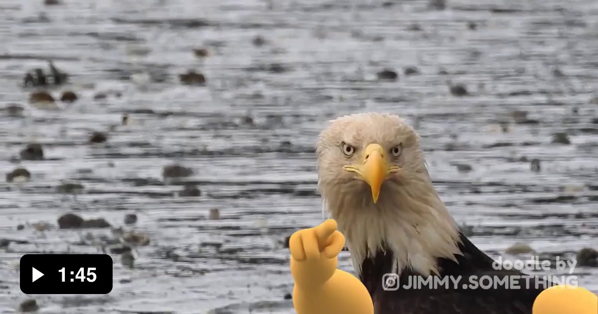 Eagle with hands - 9GAG