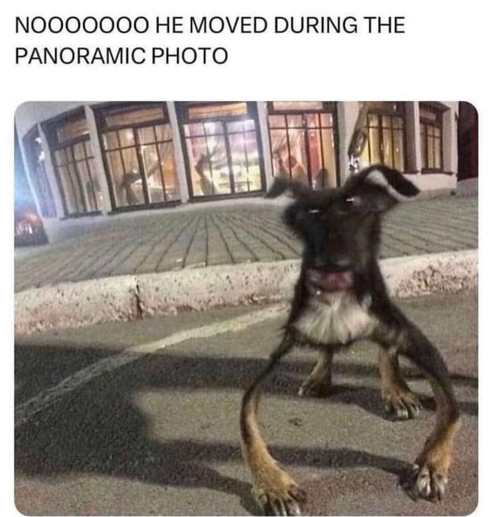 Why does he look like that one cartoon animal character - 9GAG
