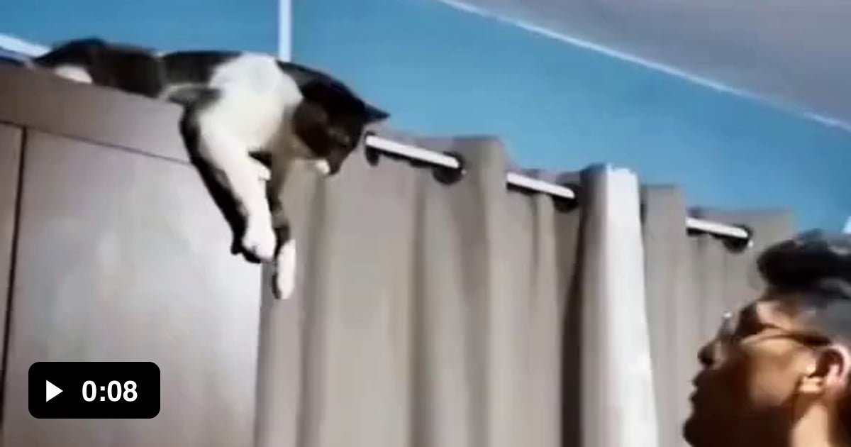 The ultimate spit-off - 9GAG