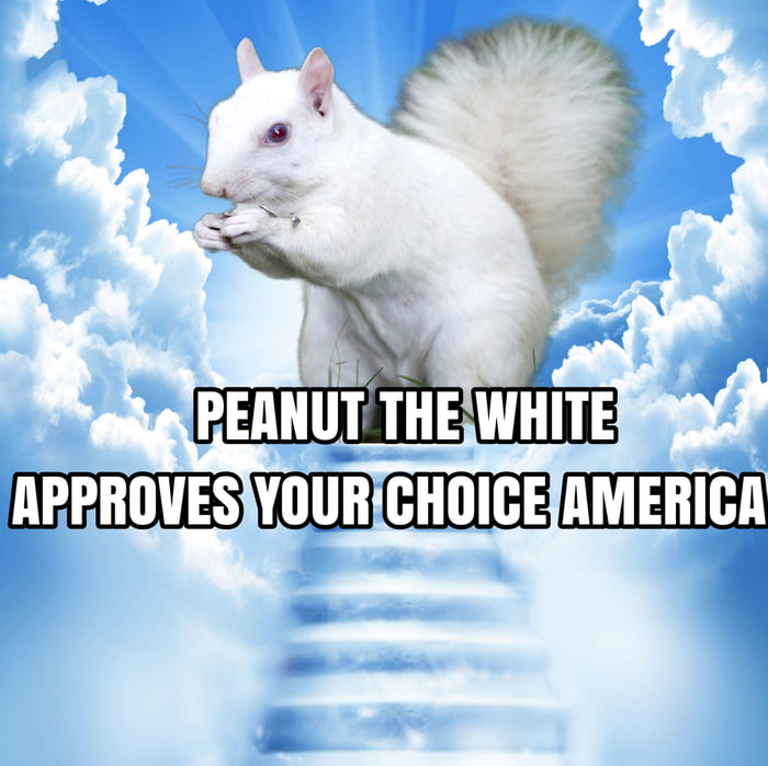 Orange man good - 9GAG